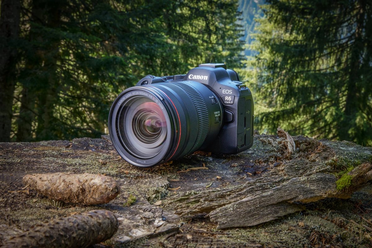EOS R6 Mark II: Die bisher schnellste Kamera im EOS R System - Wiener ...
